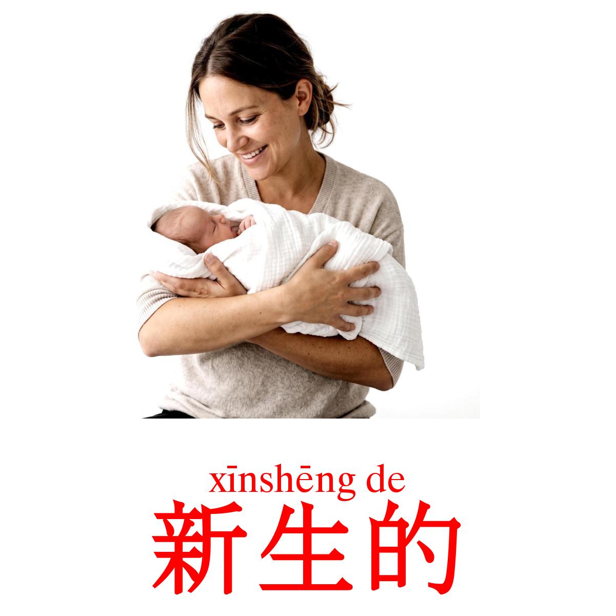 32 Printable Family members Flashcards in Chinese(Simplified) (Free PDF)