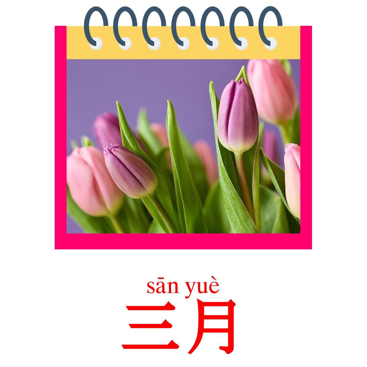 12 FREE Months of the Year Flashcards | PDF | Chinese(Simplified) Words