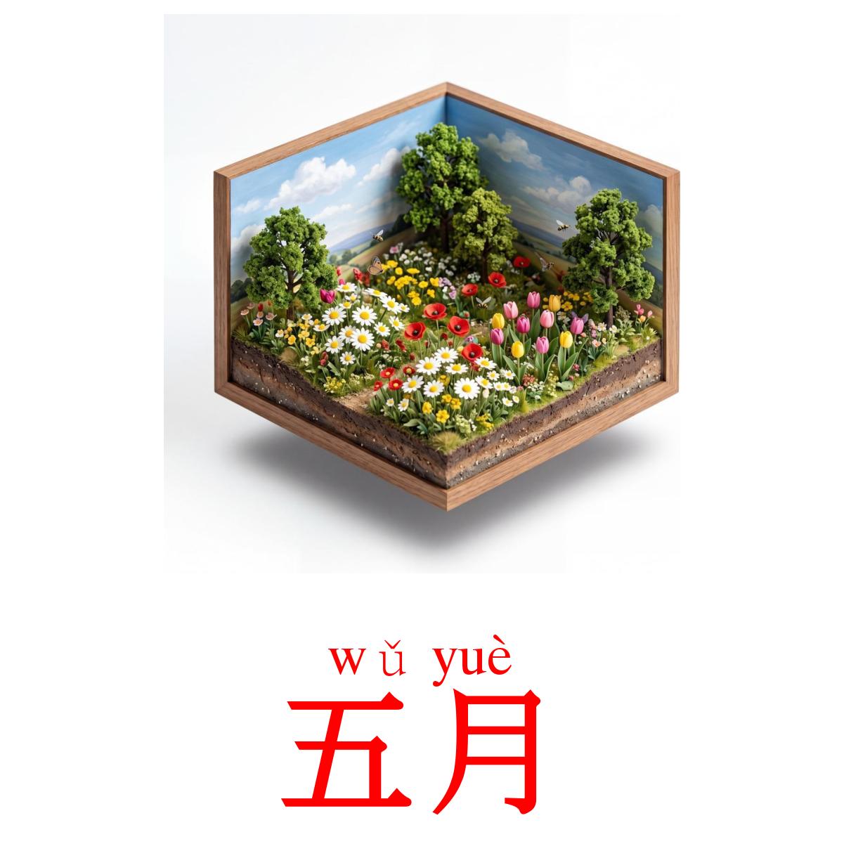 13 Printable Months of the Year Flashcards in Chinese(Simplified) (Free ...