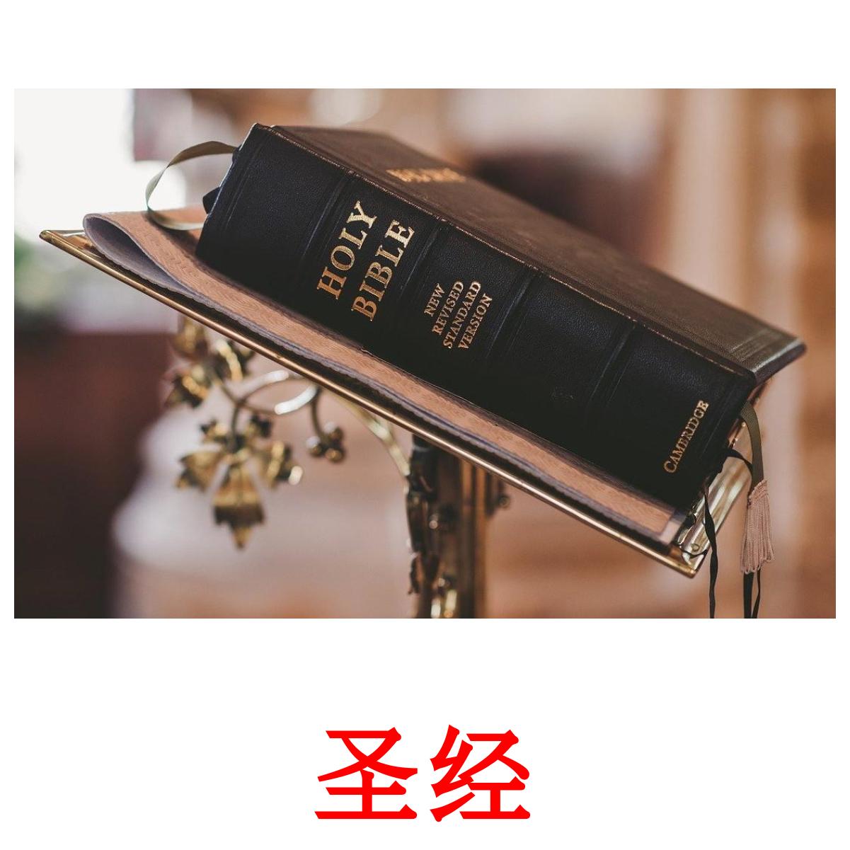 29 Printable Easter Flashcards in Chinese(Simplified) (Free PDF)