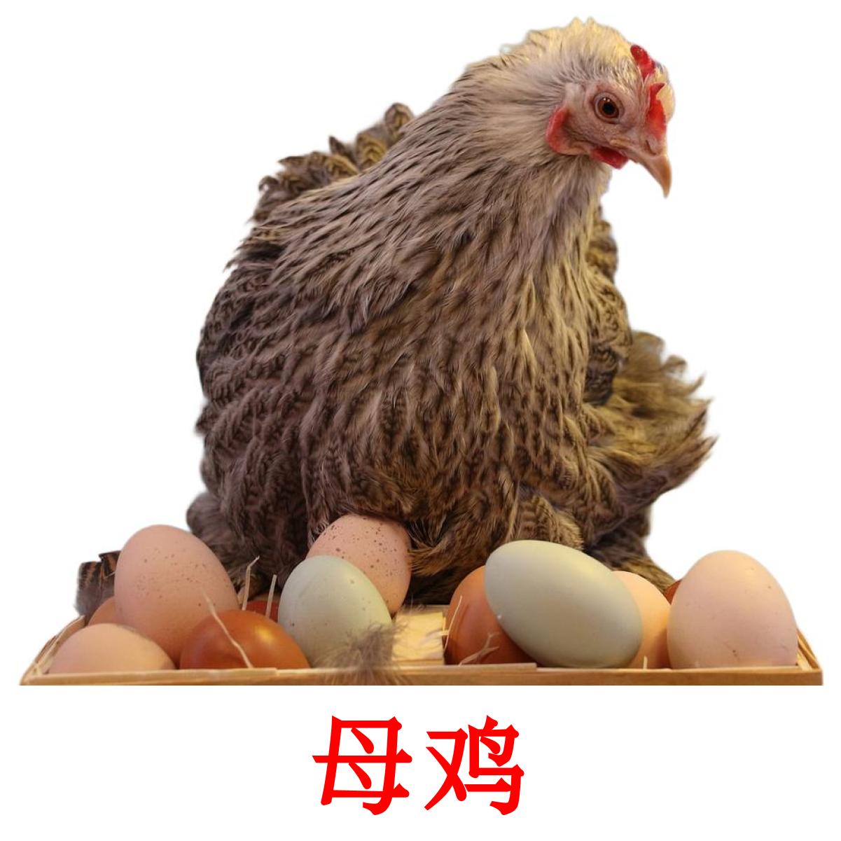 29 Printable Easter Flashcards in Chinese(Simplified) (Free PDF)