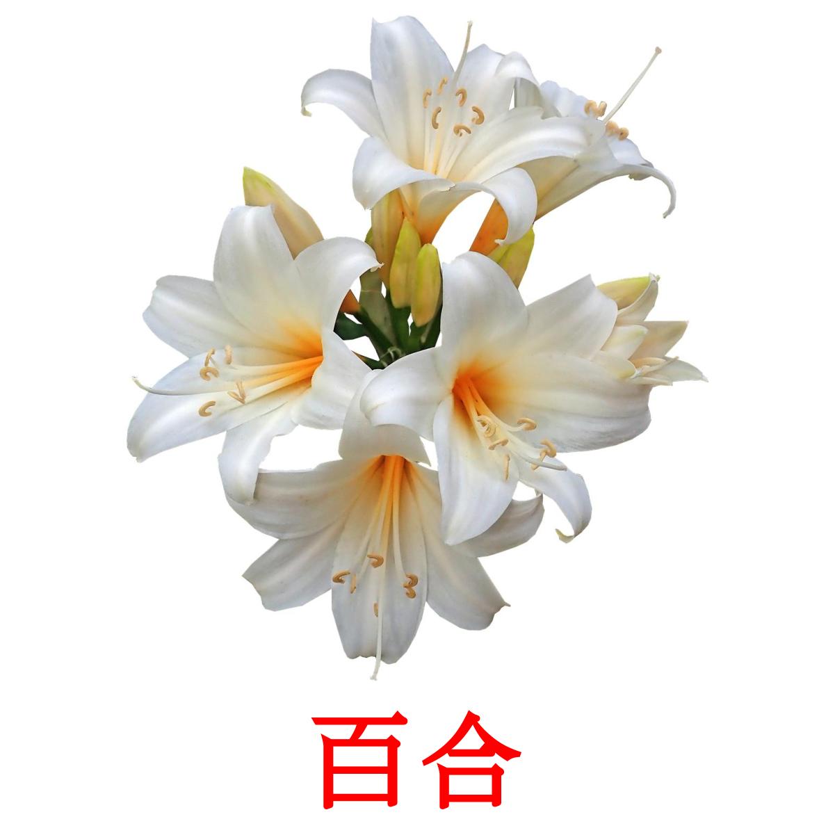 29 Printable Easter Flashcards in Chinese(Simplified) (Free PDF)