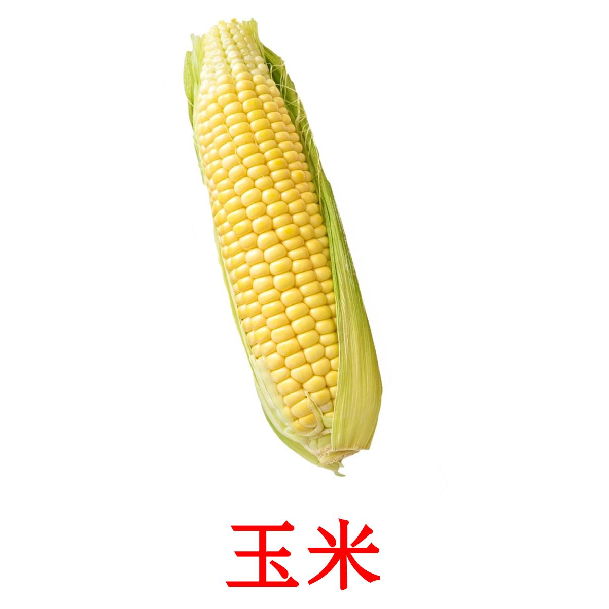 30 Printable Vegetables Flashcards in Chinese(Simplified) (Free PDF)