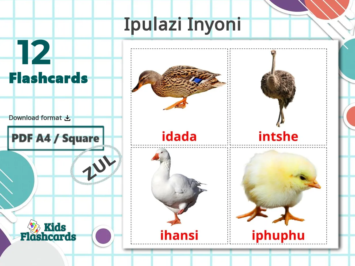 12 Printable Farm birds Flashcards in Zulu (Free PDF)
