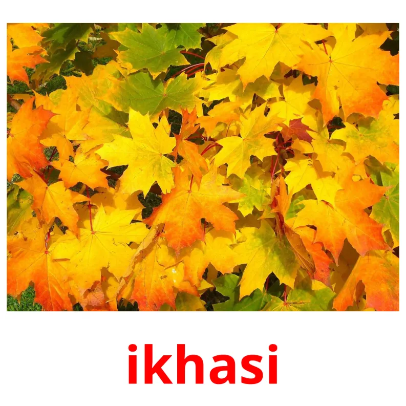 31 FREE Weather Flashcards | PDF | Zulu Words