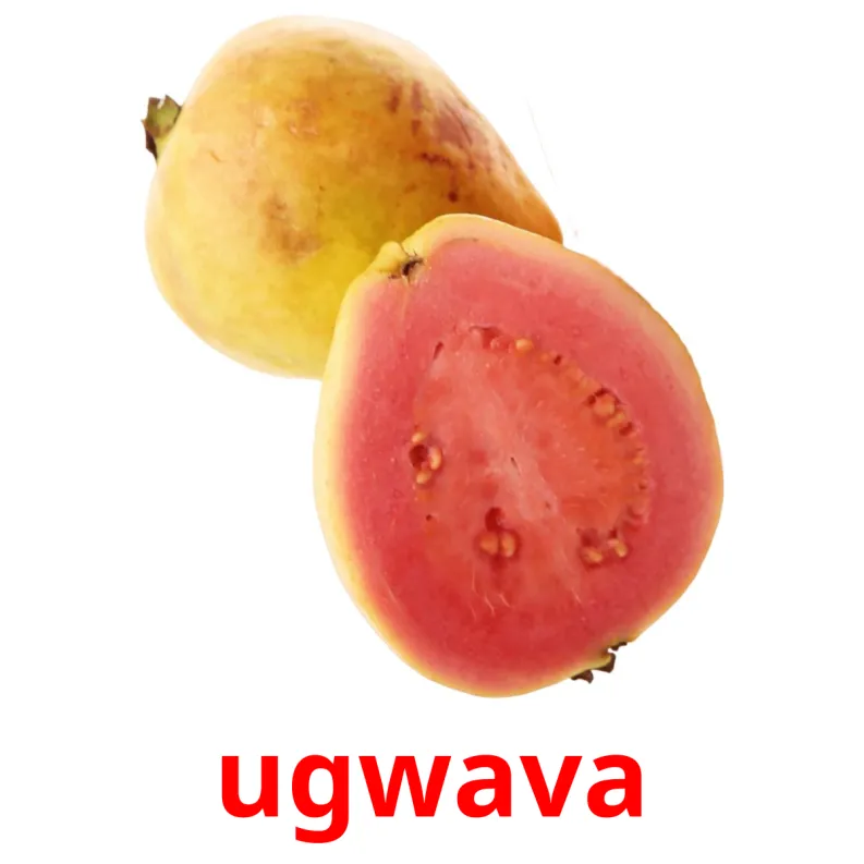 20 FREE Fruits Flashcards | PDF | Zulu Words