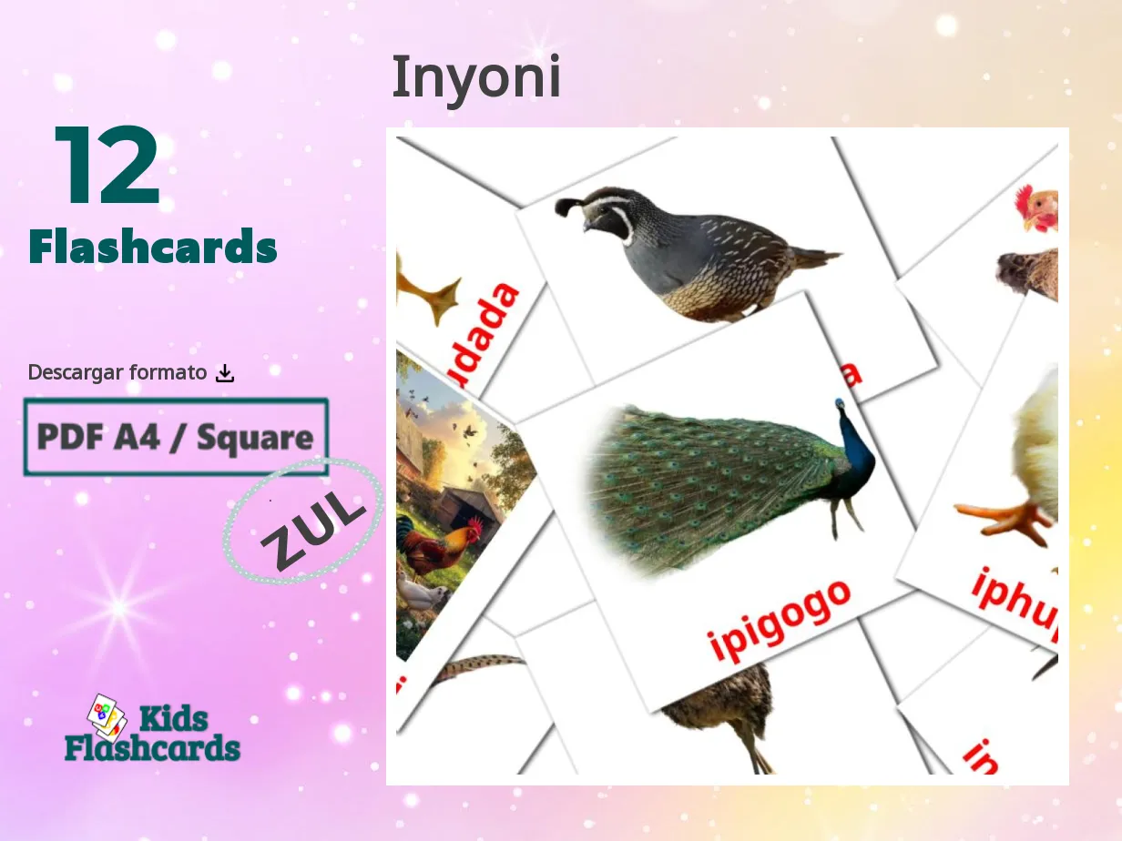 12 Tarjetas Didacticas de Aves para Imprimir GRATIS en Zulú | PDFs