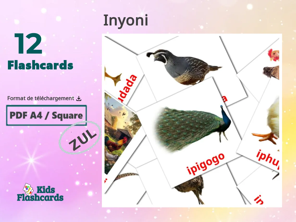 12 Cartes de vocabulaire Oiseaux GRATUITES à imprimer | PDF ...